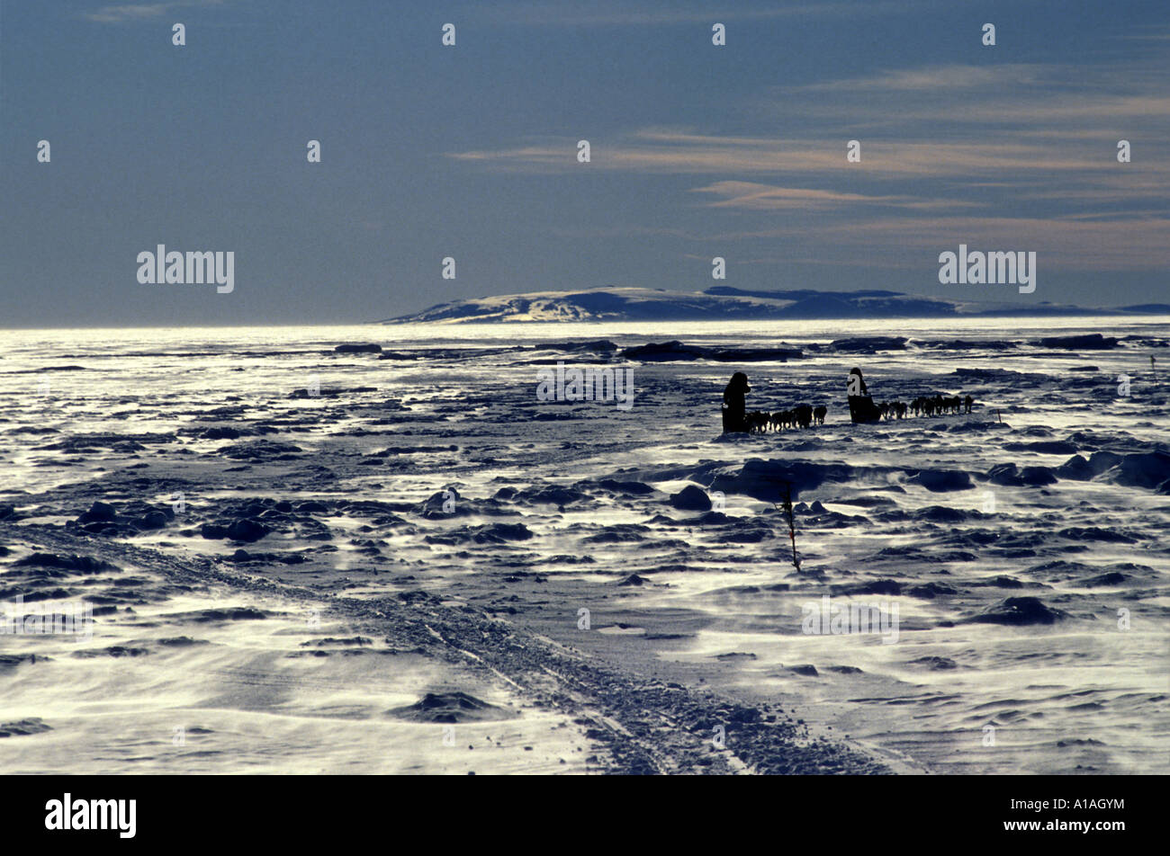 USA Alaska Iditarod champion Susan Butcher trains with husband David ...