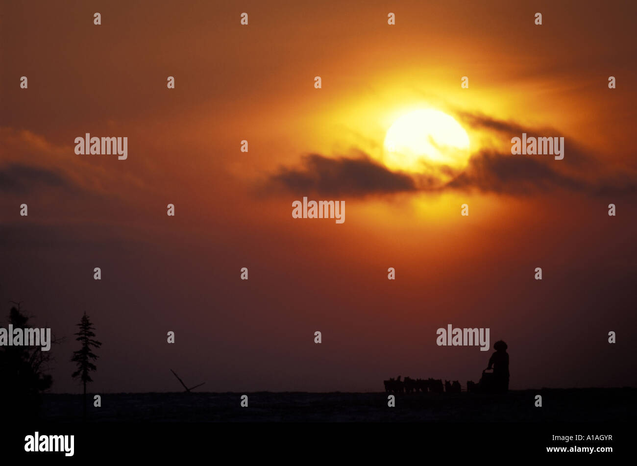 Charlie boulding hi-res stock photography and images - Alamy