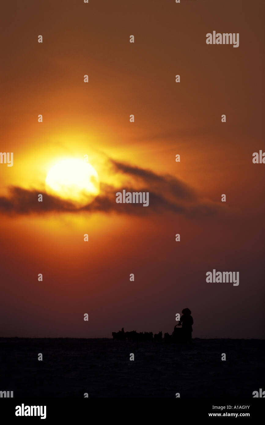 Charlie boulding hi-res stock photography and images - Alamy