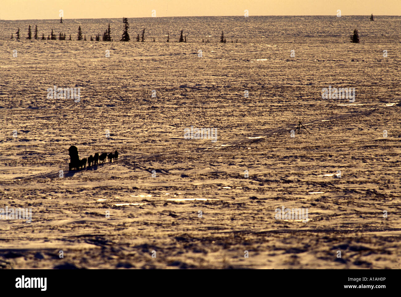 USA Alaska Dee Dee Jonrowe races toward Unalakleet during 1994 Iditarod ...