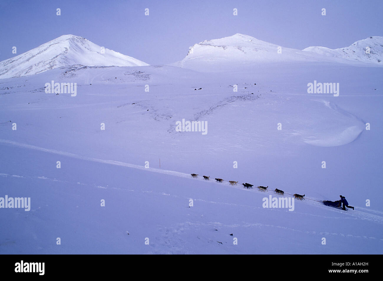 USA Alaska Musher races through Rainy Pass in Alaska Range mountains ...