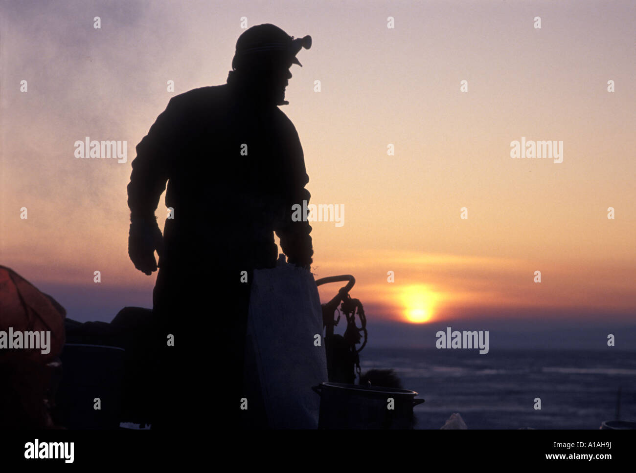 USA Alaska Musher Robin Jacobson works at sled on a 24 dawn in village ...