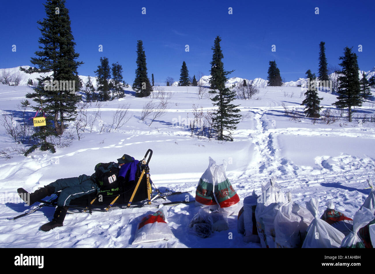 Musher iditarod rest hi-res stock photography and images - Alamy