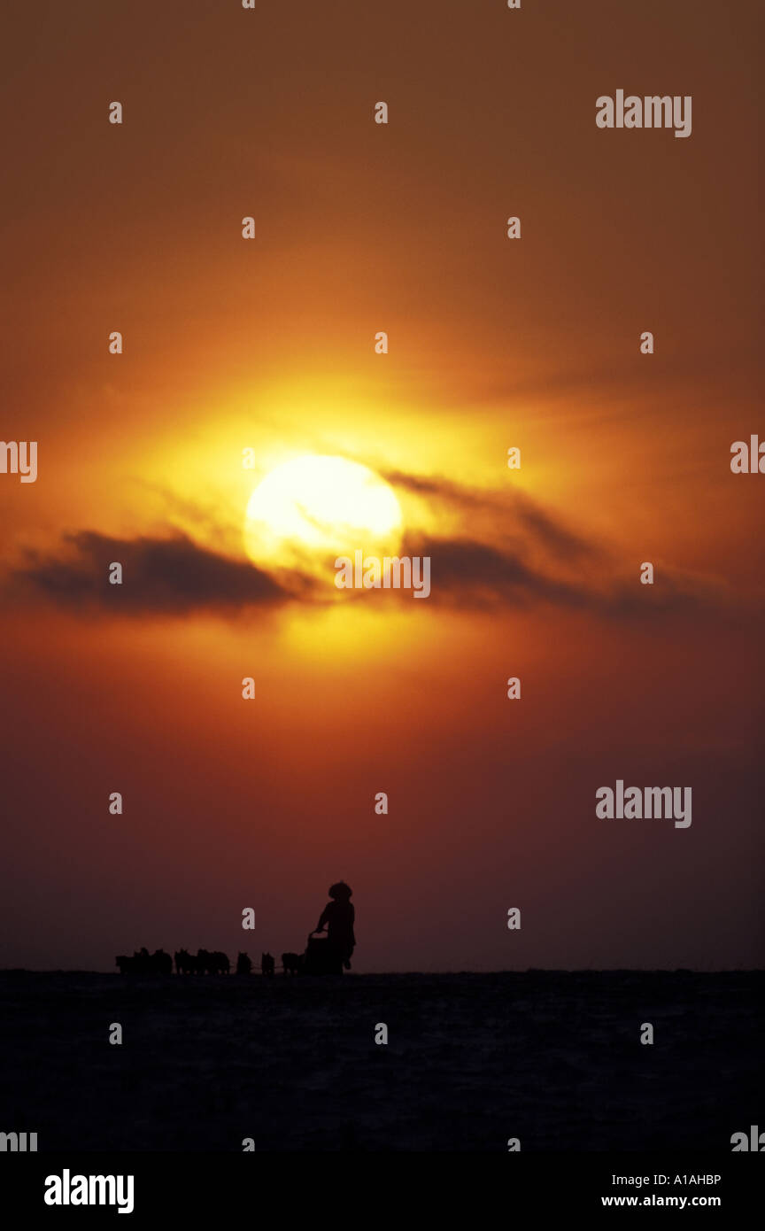 Charlie boulding hi-res stock photography and images - Alamy