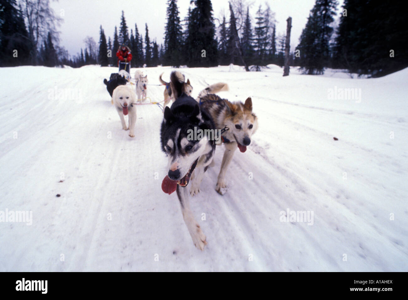 Norman creek hi-res stock photography and images - Alamy