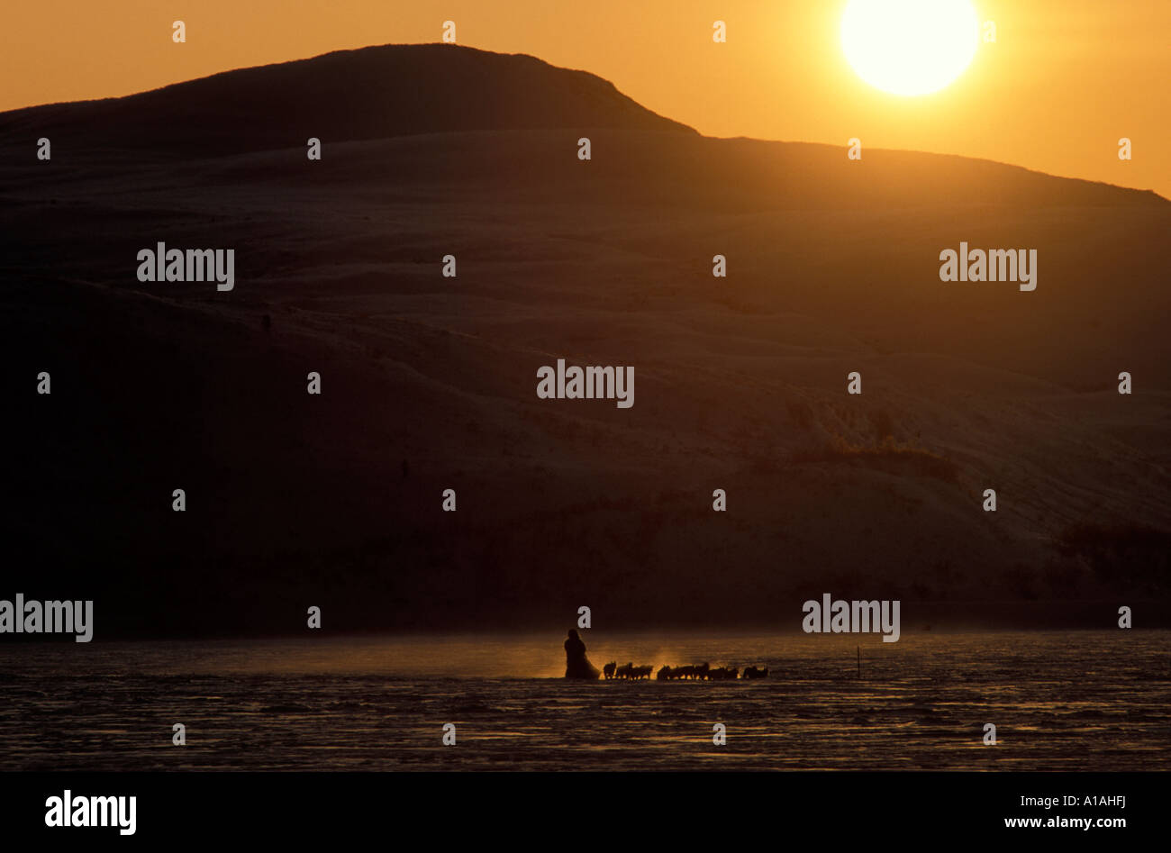 USA, Alaska, Mushers races across Summit Lake at -30° at sunrise during ...