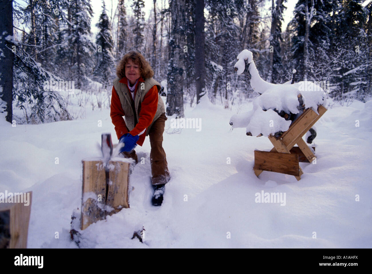 USA Alaska Knik MR Dog musher Kim Fitzgerald splits wood outside her ...