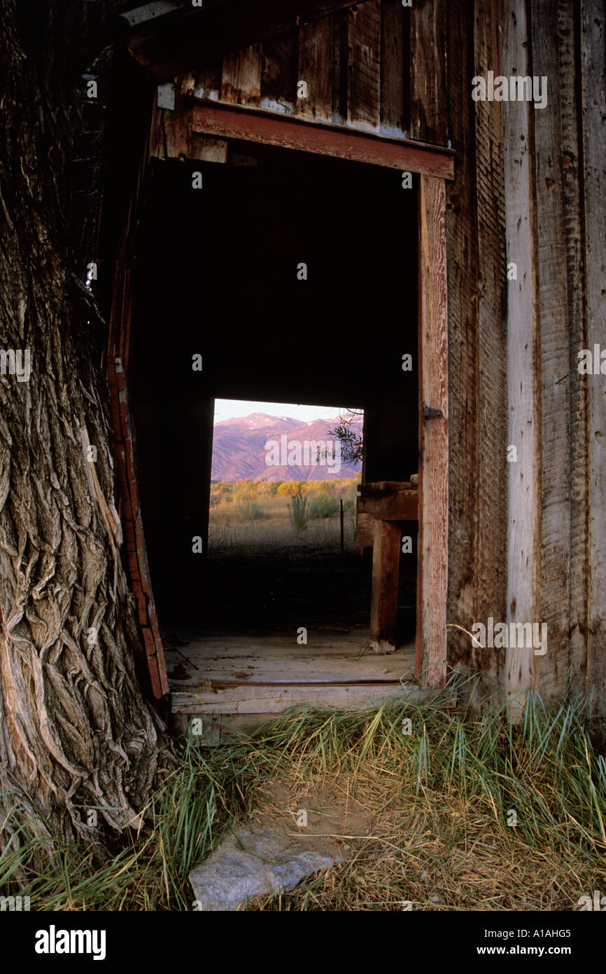 California, Mono Lake, View through barn, Dechambeau Ranch Stock Photo ...