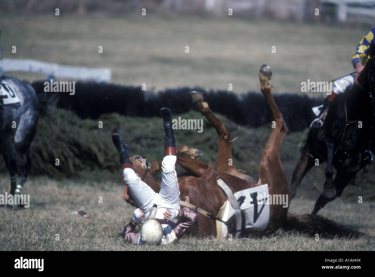 USA Virginia Warrenton Jockey and horse fall after failing to clear ...