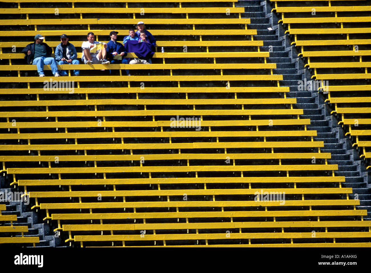 The washington huskies hi-res stock photography and images - Alamy