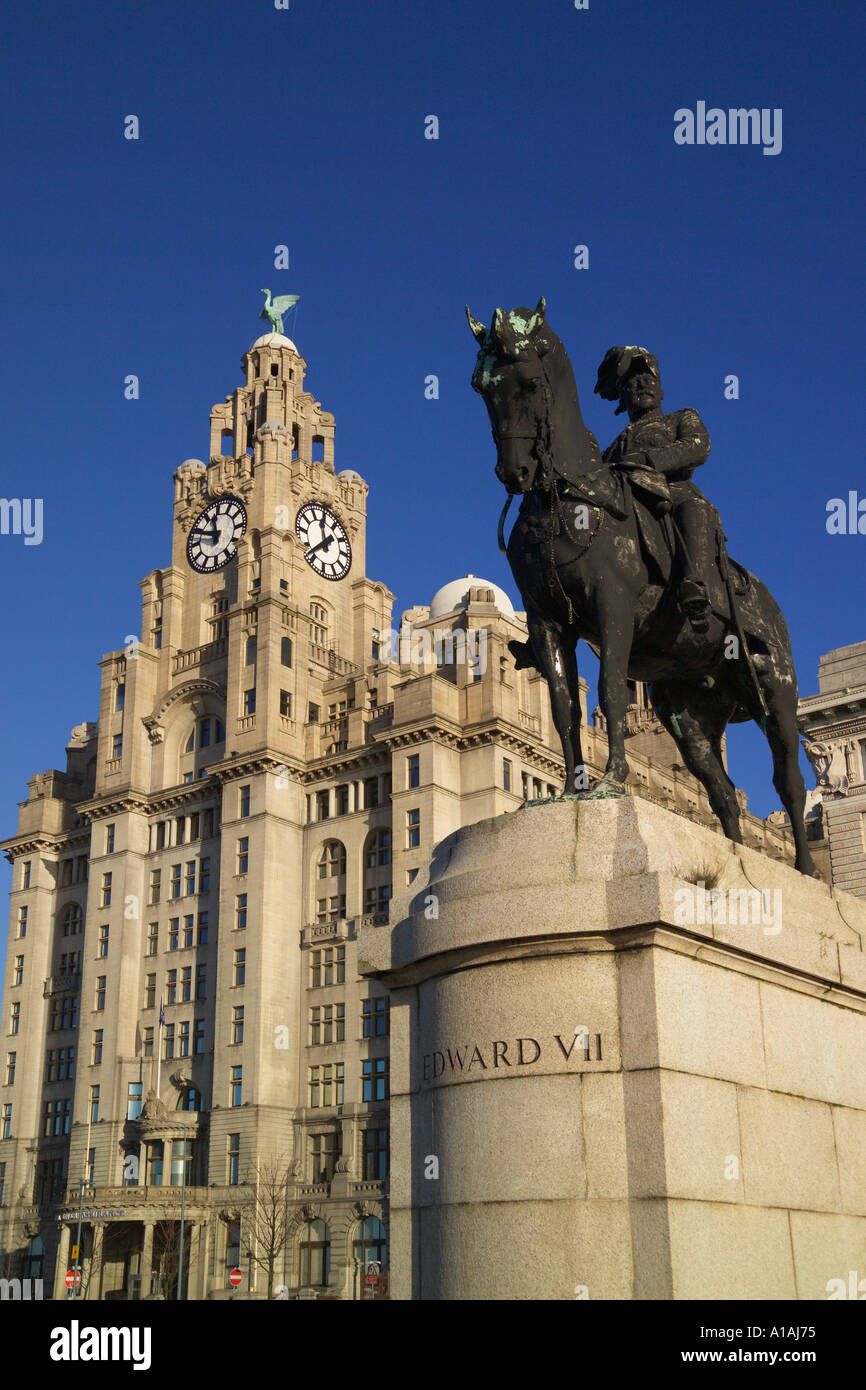 Liver Building and Statue of Edward VII Liverpool Merseyside England ...