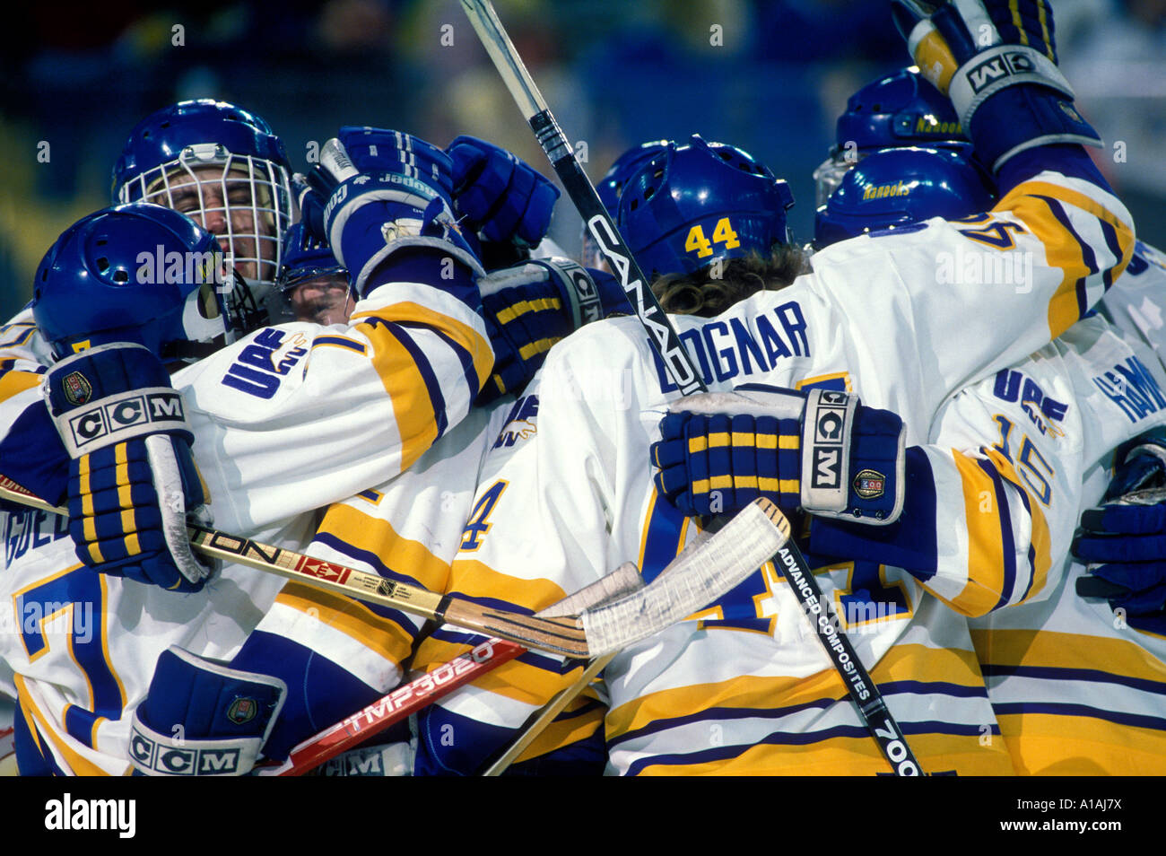 Alaska anchorage hockey team hi-res stock photography and images - Alamy