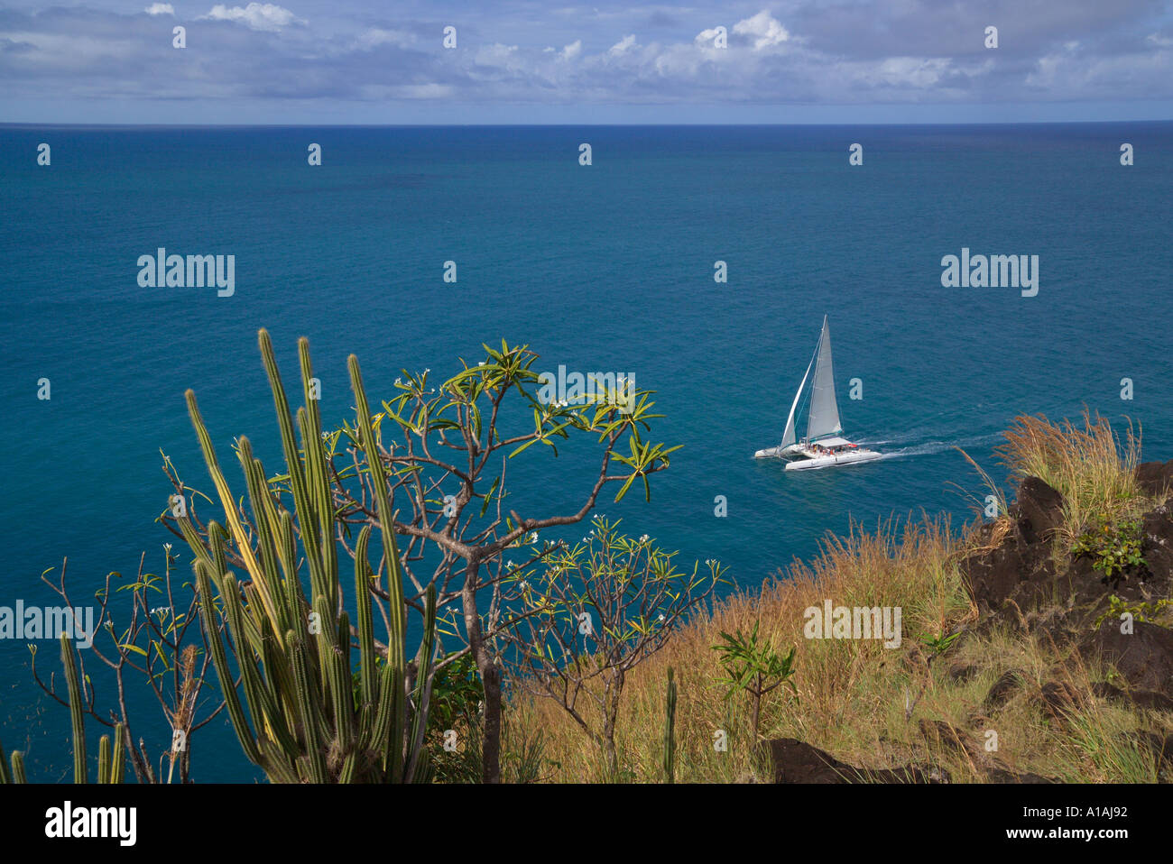 Catamaran "Rodney Bay" sailing St Lucia Caribbean Stock Photo - Alamy