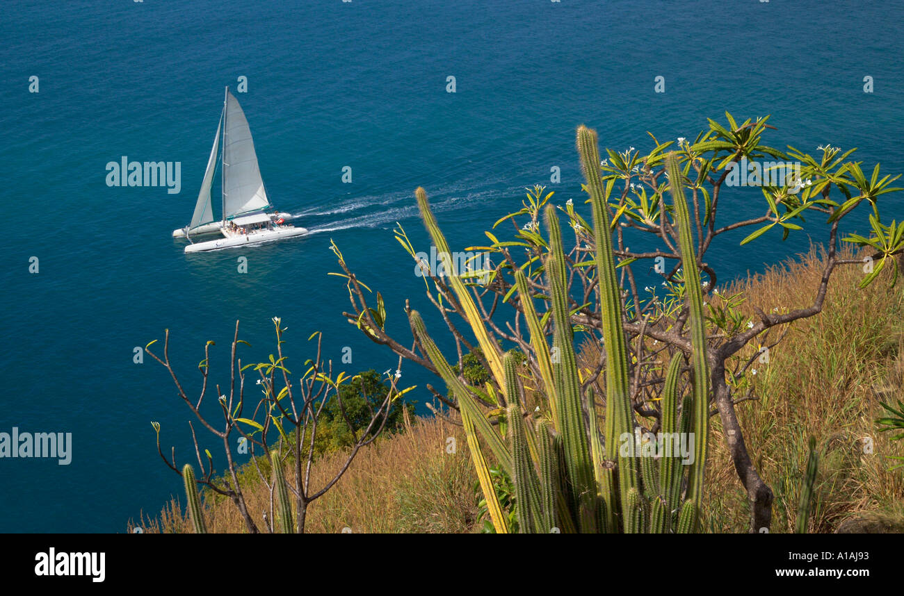 Catamaran "Rodney Bay" sailing St Lucia Caribbean Stock Photo - Alamy