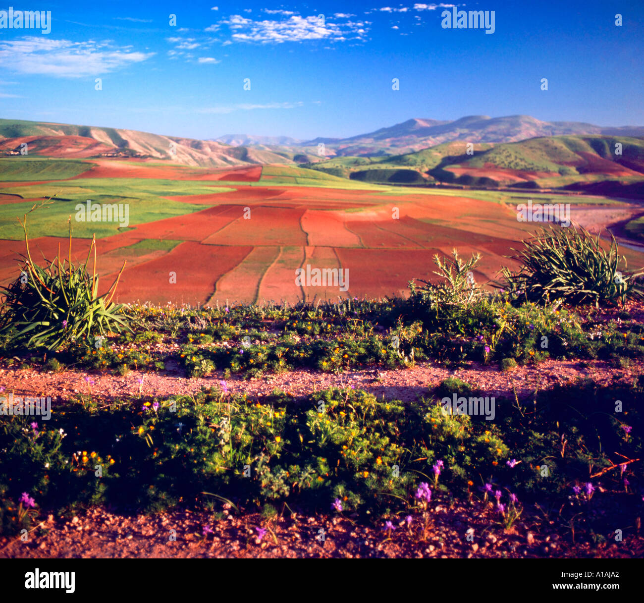 Countryside near Agadir Morocco Stock Photo - Alamy