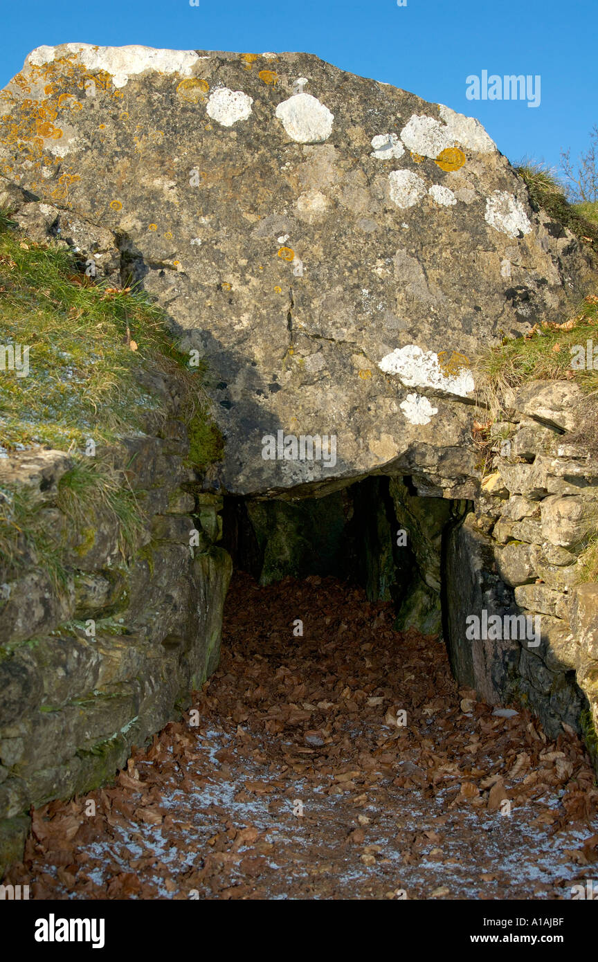 Hetty Peglers Tump Uley Long Barrow 3000BC Entrance Passage Stock Photo ...