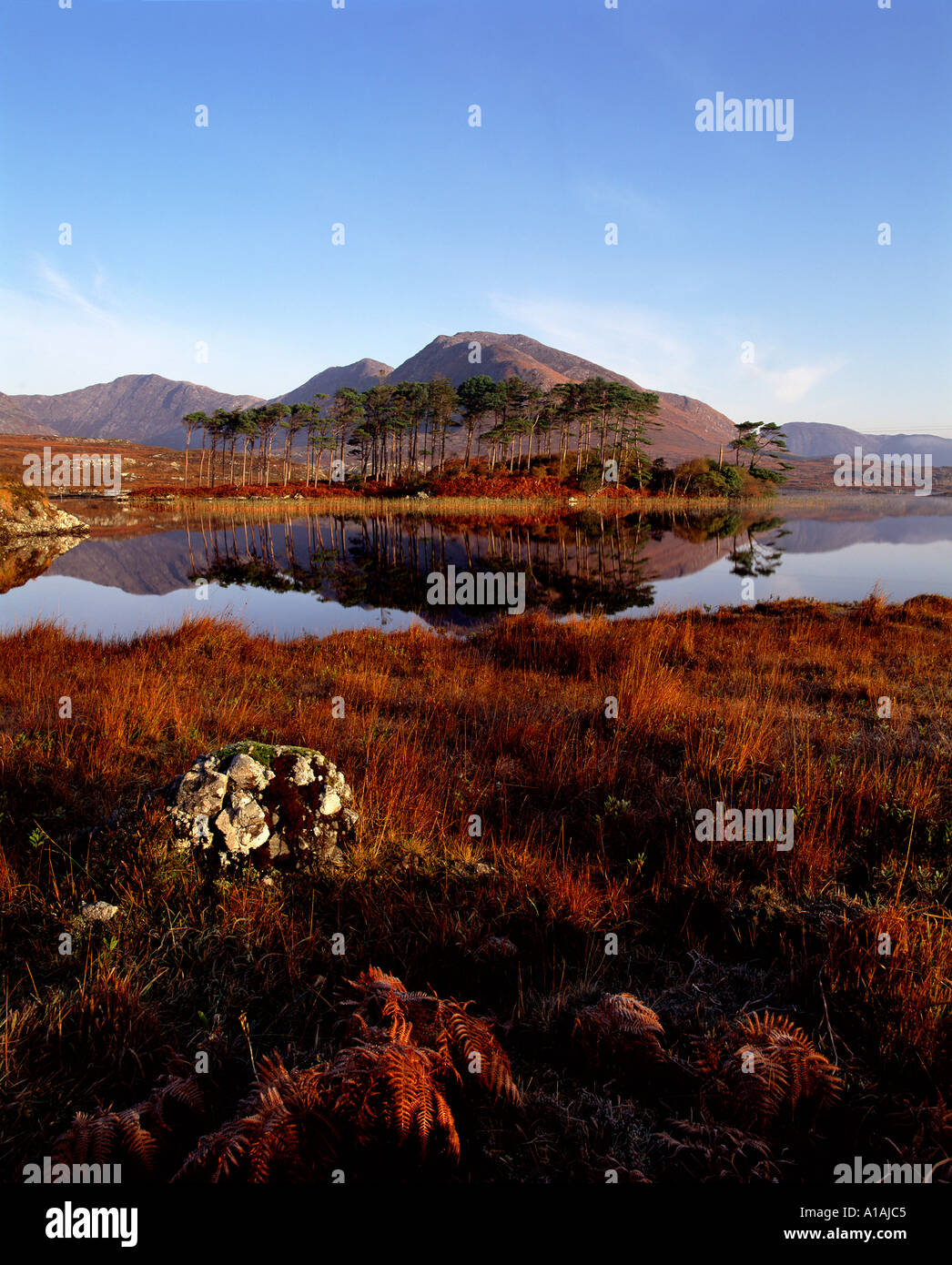 Roundstone bog connemara hi-res stock photography and images - Alamy