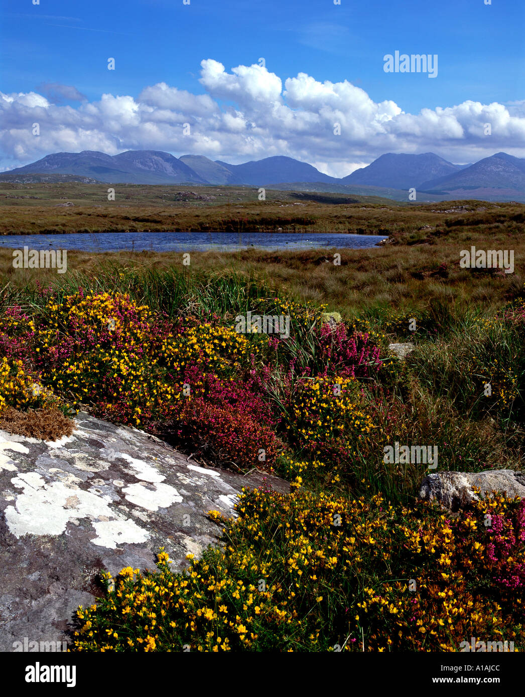 Roundstone bog ireland hi-res stock photography and images - Alamy