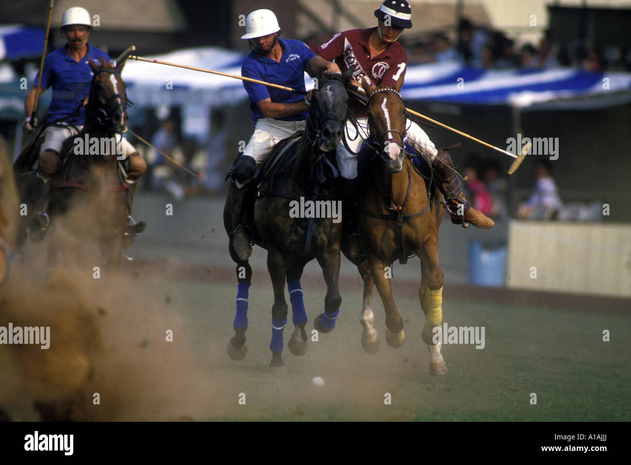 USA Maryland Poolesville Polo players pursue ball during match at ...