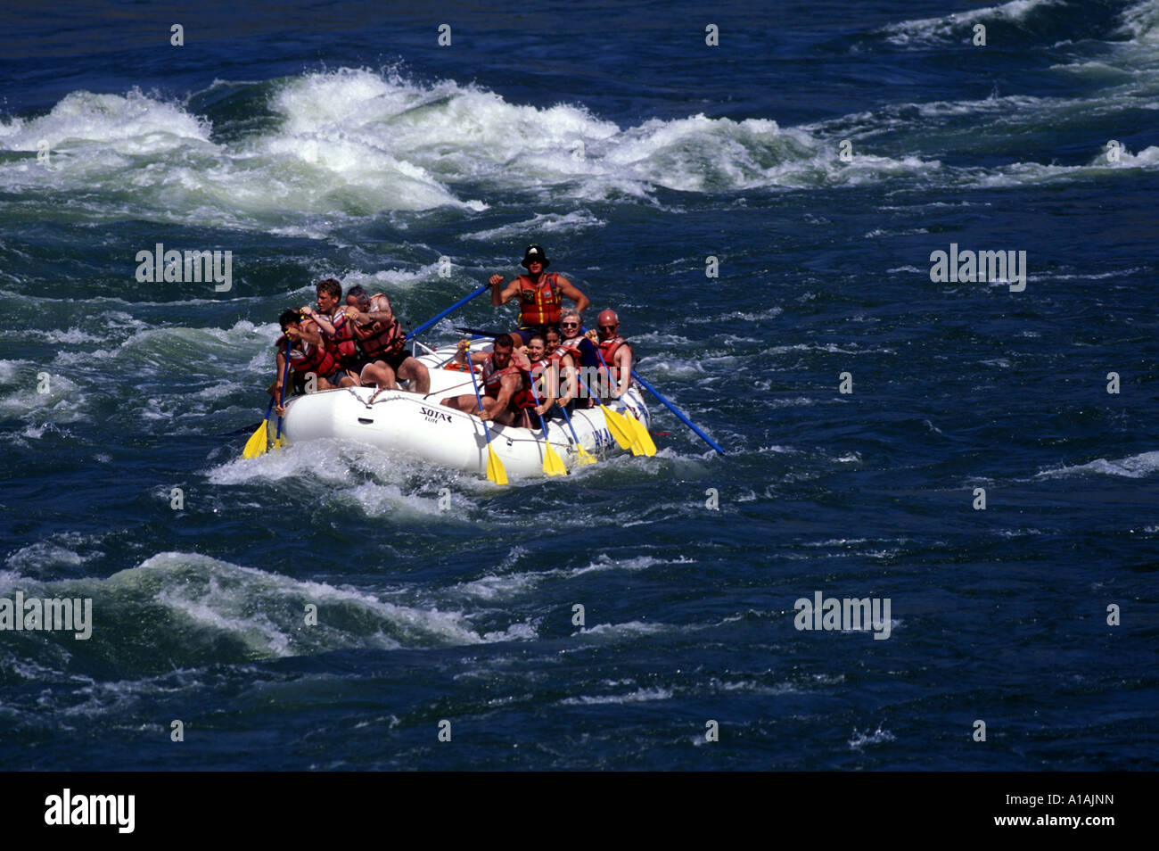 Canada British Columbia Whitewater rafters on rapids along Thompson ...
