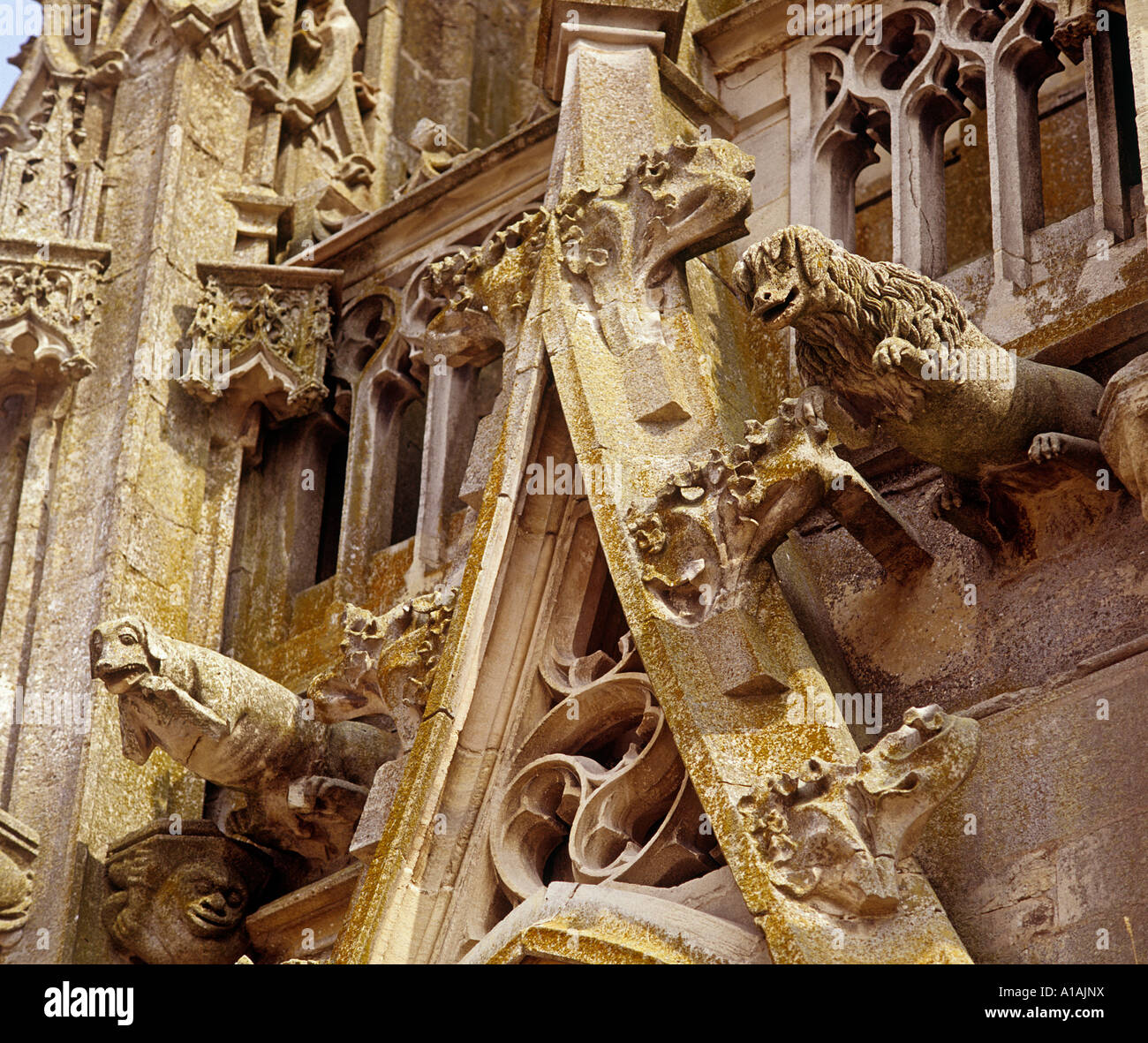 gargoyles and carved figures of animals adorn the Gothic front of Notre ...