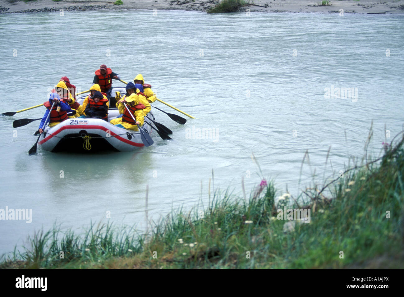 USA Alaska Chilkat Bald Eagle Preserve River rafting trip along Chilkat ...
