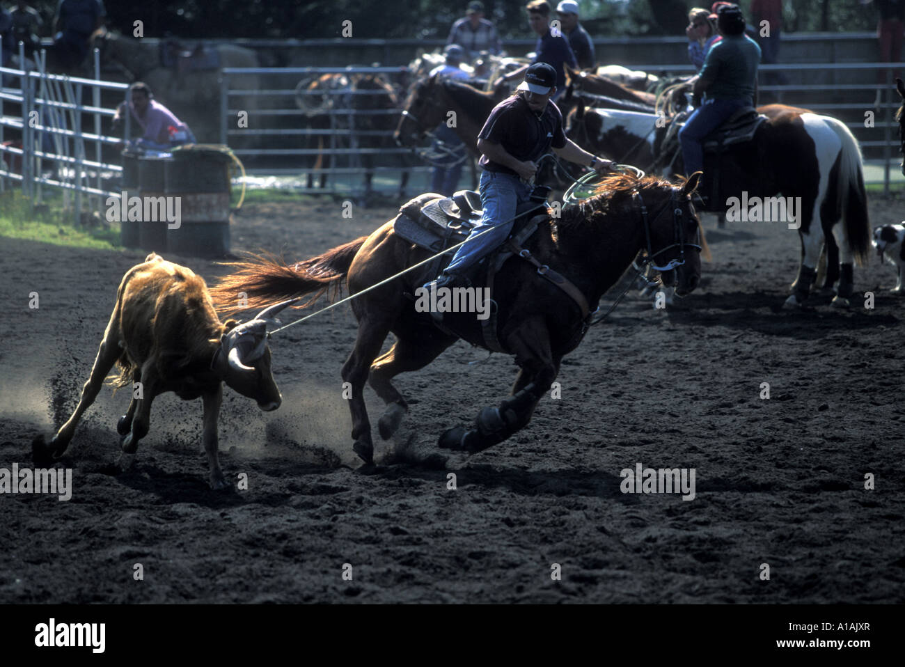 Paniolo waimea hi-res stock photography and images - Alamy