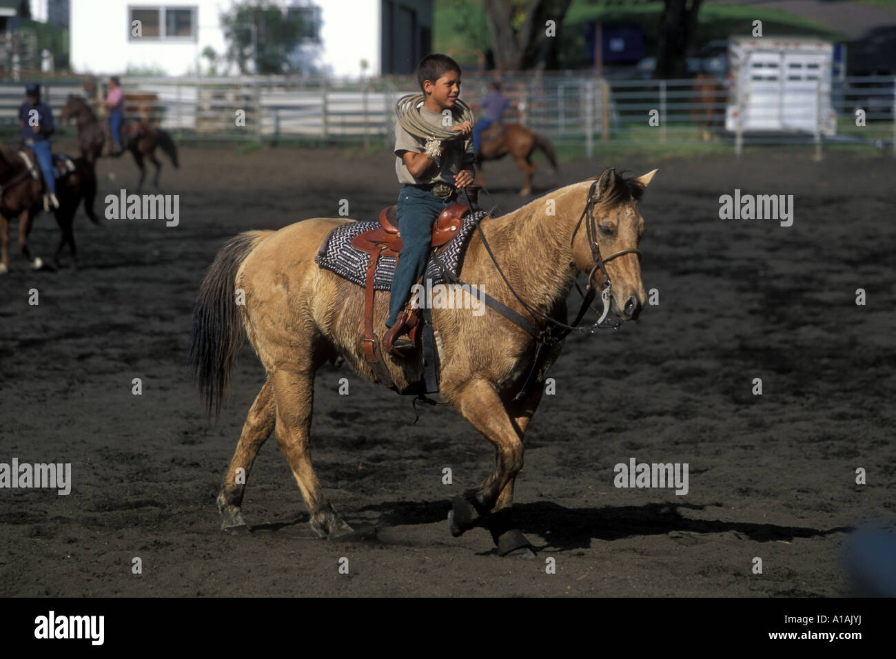 Paniolo waimea hi-res stock photography and images - Alamy