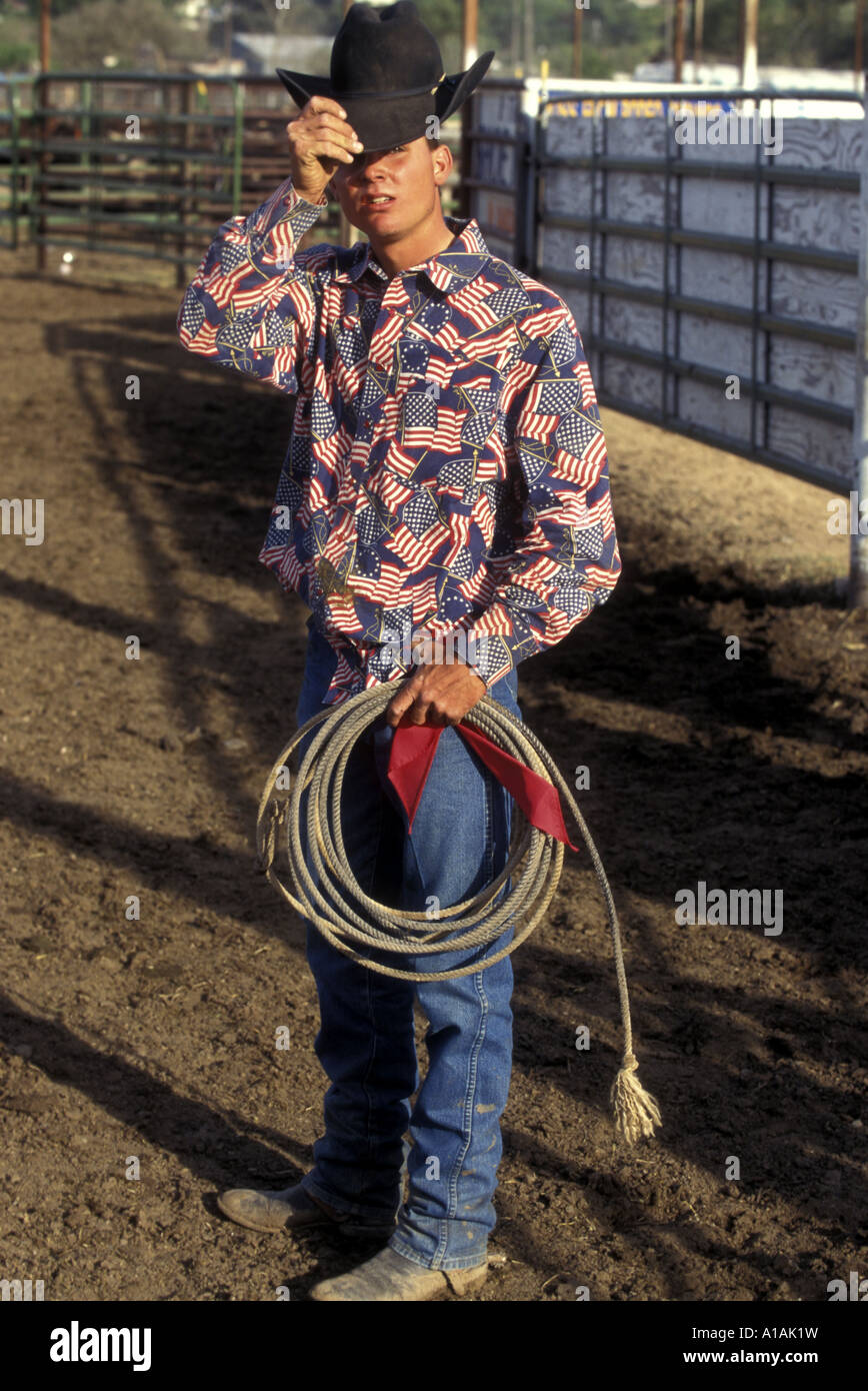 USA California MR Cowboy Ryan Kiely works in livestock chute while ...