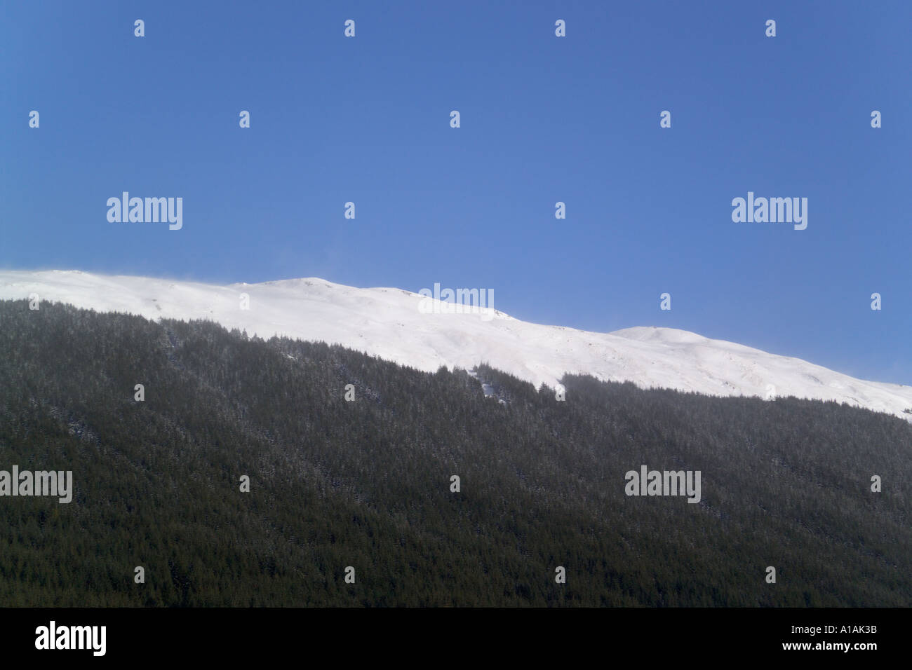 Snow covered mountain tree line Highlands Scotland Stock Photo - Alamy