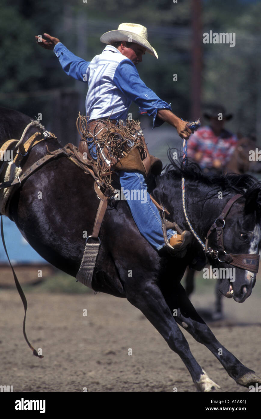 Cowboy competes in saddle bronc hi-res stock photography and images - Alamy