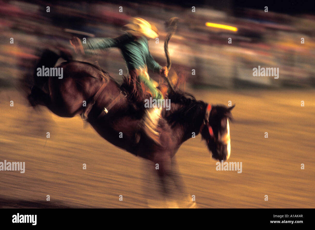 USA New Jersey Woodstown Blurred image of rodeo cowboy in Bareback ...