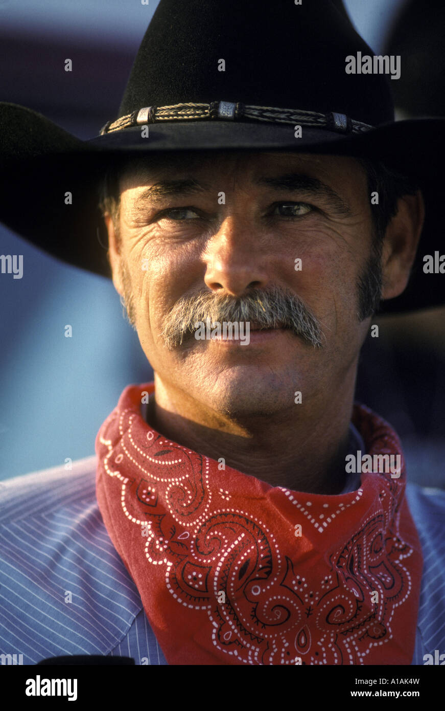 USA New Jersey Woodstown Portrait of rodeo cowboy at sunset during ...