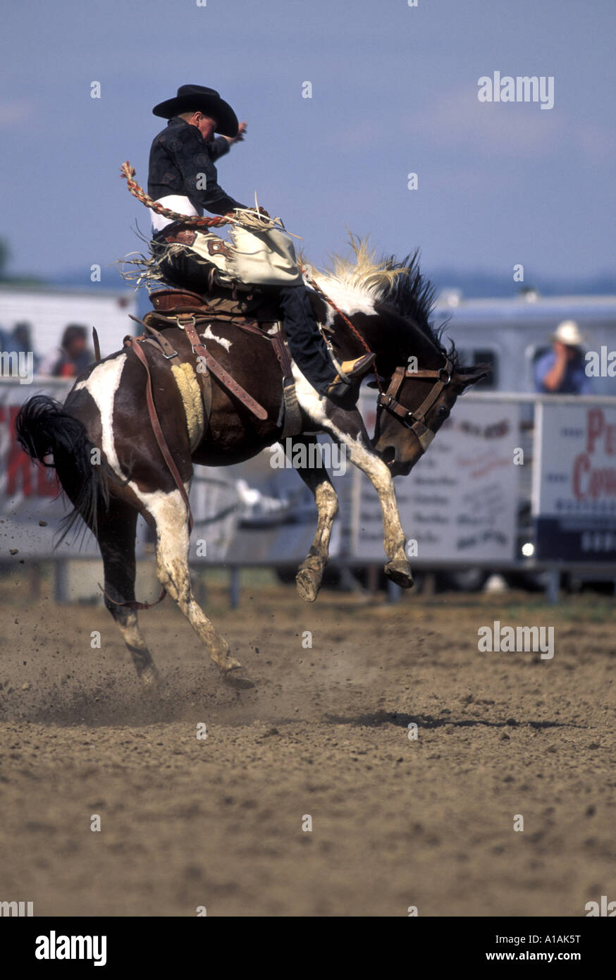 USA California Oakdale Rodeo cowboy competes in Saddle Bronc Riding ...