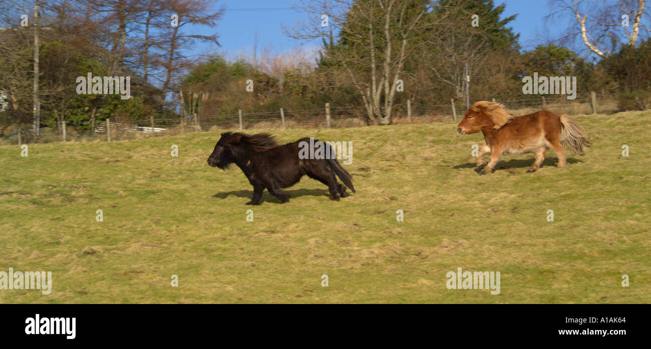 Scotland In Miniature Stock Photos & Scotland In Miniature Stock Images ...