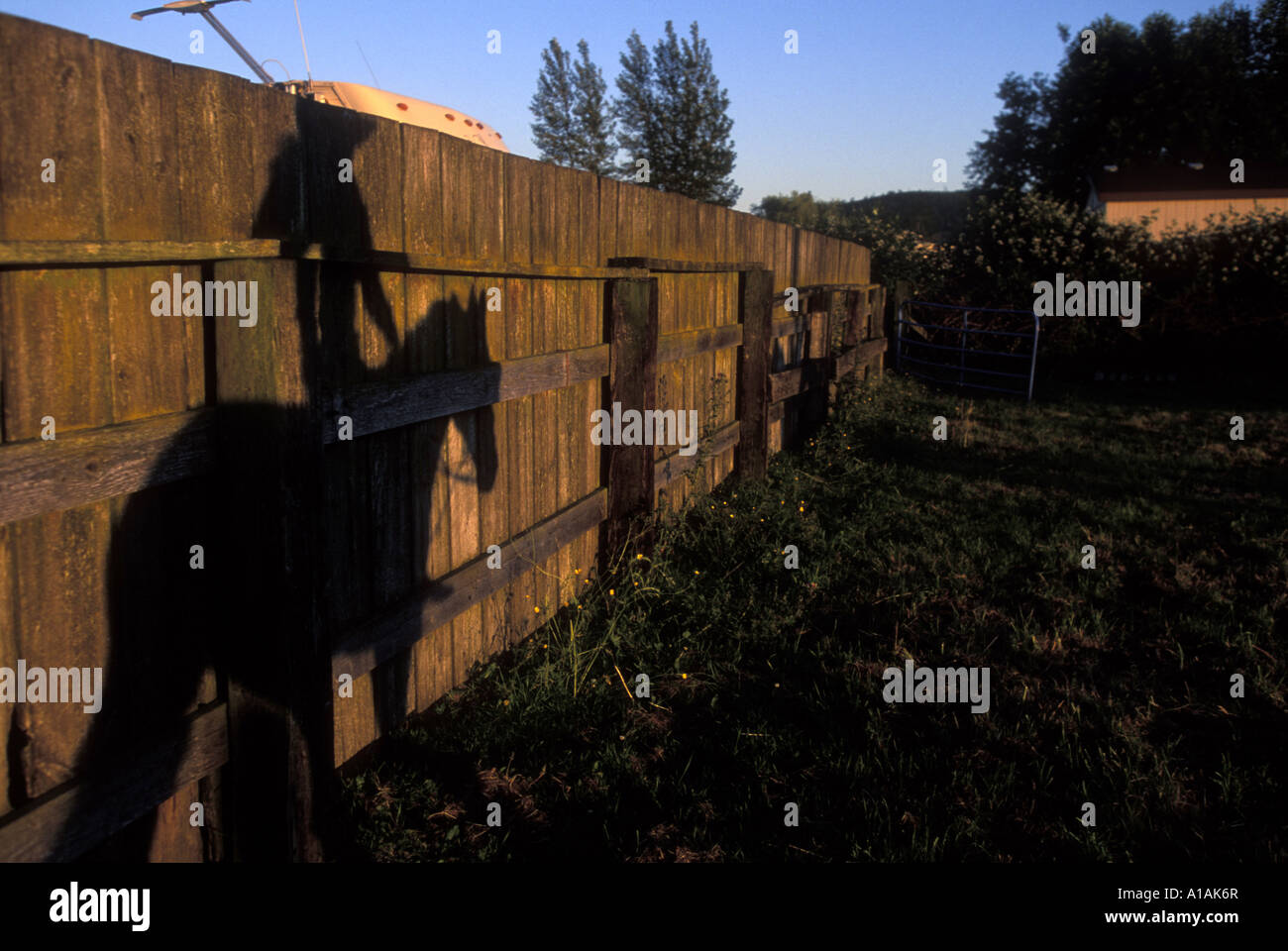 USA Washington Sedro Woolley Rodeo cowboys shadow on wooden fence at ...