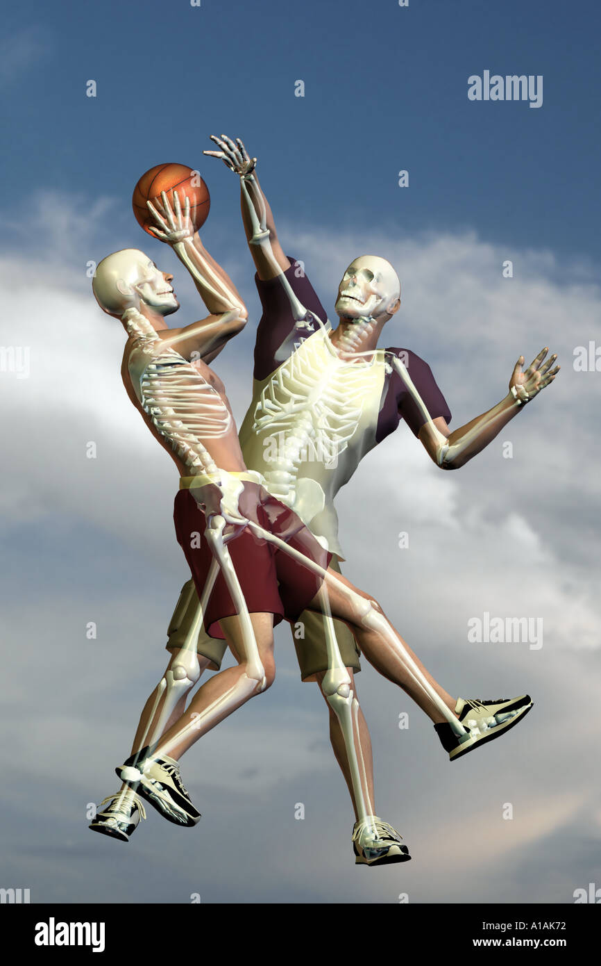 Basketball players showing skeletons Stock Photo - Alamy