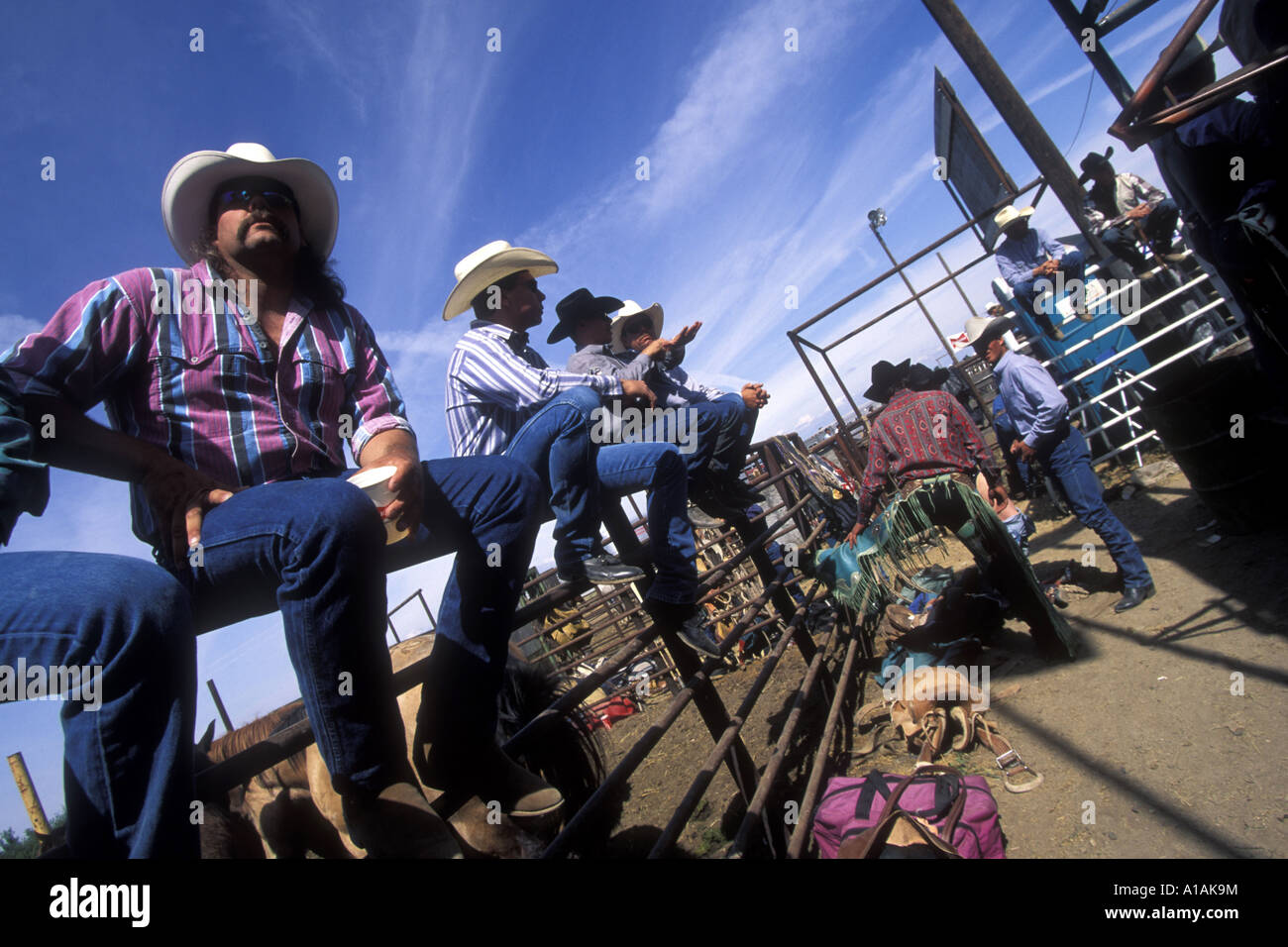 USA California Oakdale Rodeo cowboys watch from behind livestock chutes ...