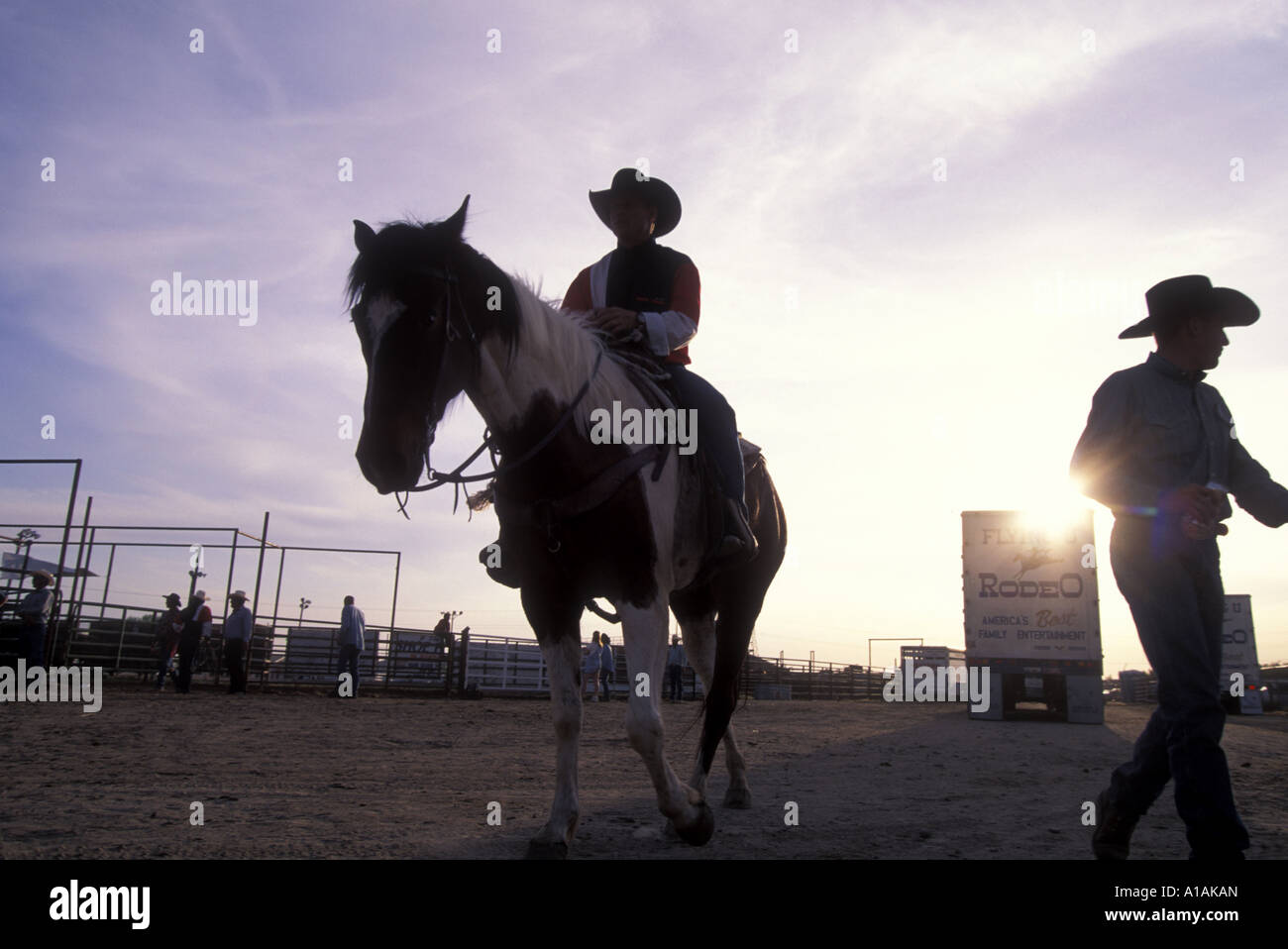 USA California Oakdale Silhouette of rodeo cowboy on horseback after ...