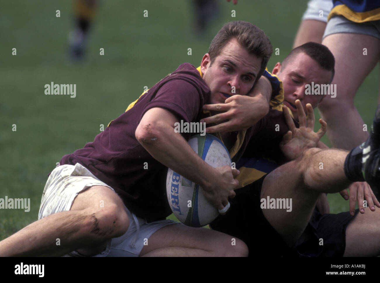 Seattle rugby club hi-res stock photography and images - Alamy