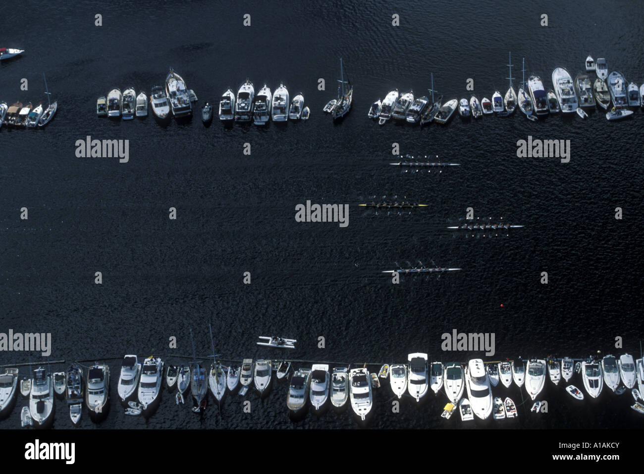 USA Washington Seattle Aerial view of rowing sculls racing in ...