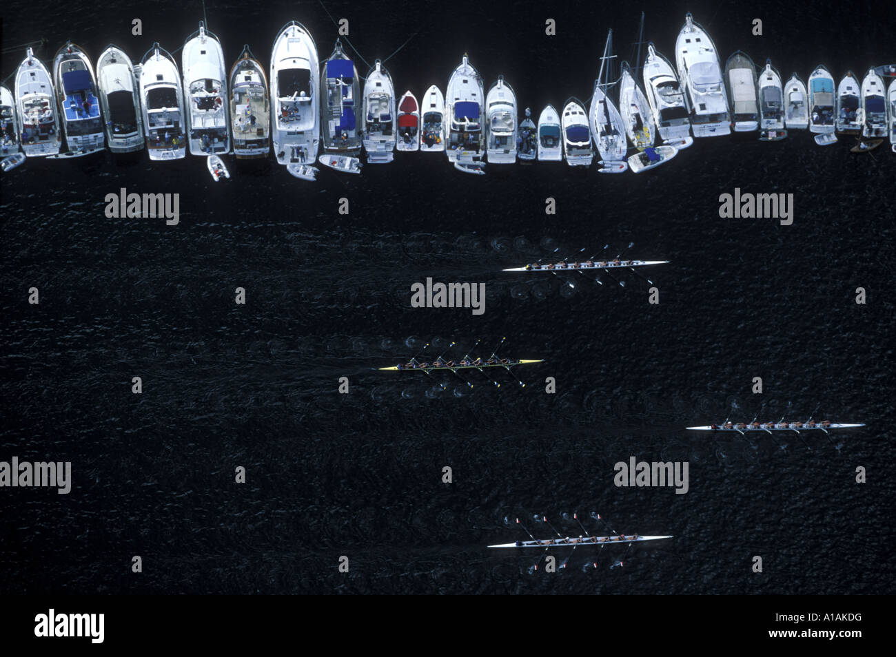 USA Washington Seattle Aerial view of rowing sculls racing in ...