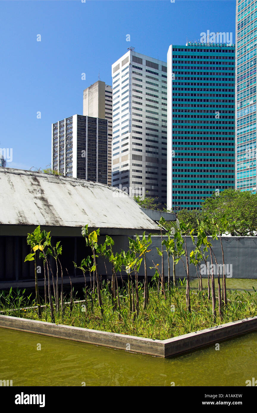 Office buildings in the downtown business district of Rio De Janeiro ...