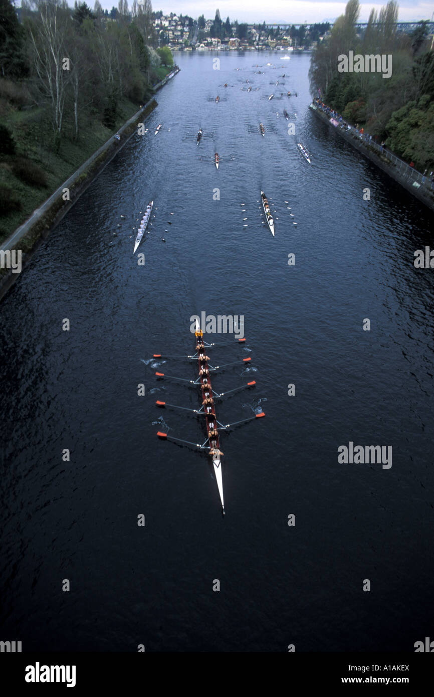 USA Washington Seattle Rowing teams race through Montlake Cut during ...
