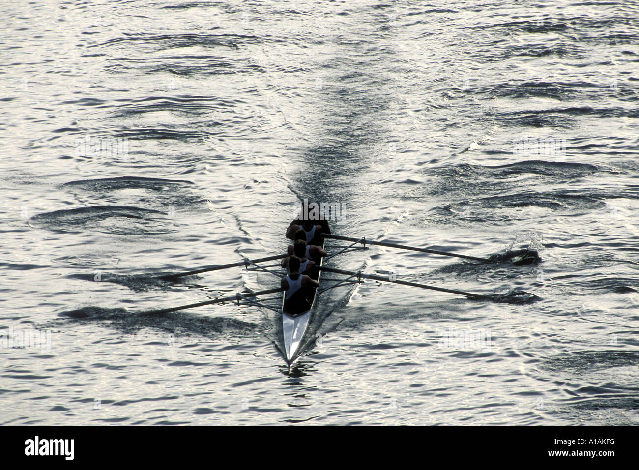 USA Washington Seattle Rowing teams scull through Montlake Cut during ...