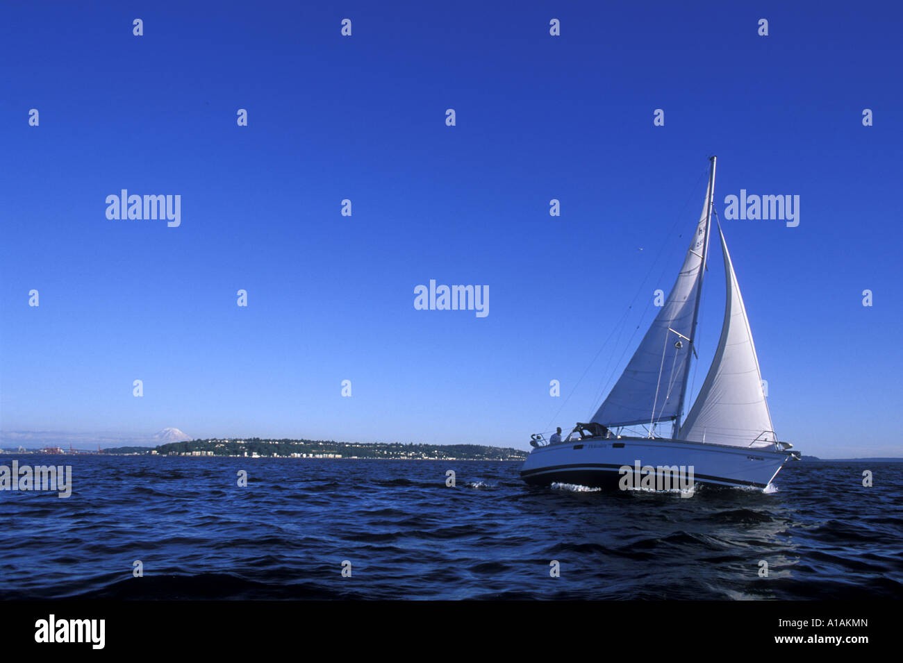 USA Washington Seattle Yacht sails through Elliot Bay on sunny summer ...