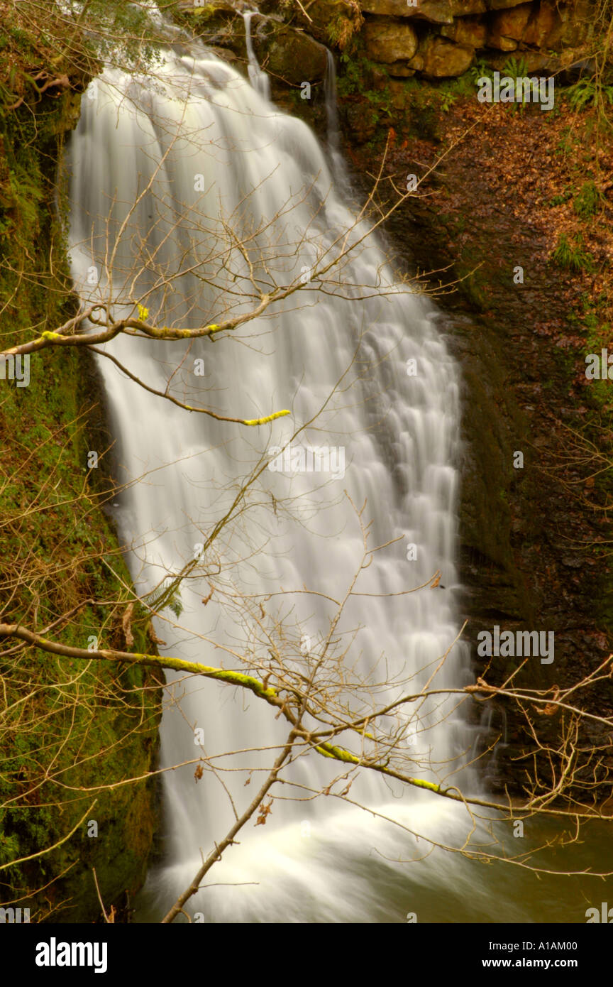 Falling Foss waterfall near Whitby North York Moors National Park North ...