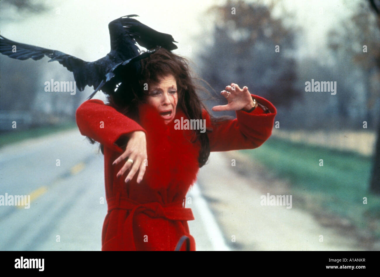 Damien Omen II Year 1978 Director Don Taylor Stock Photo - Alamy