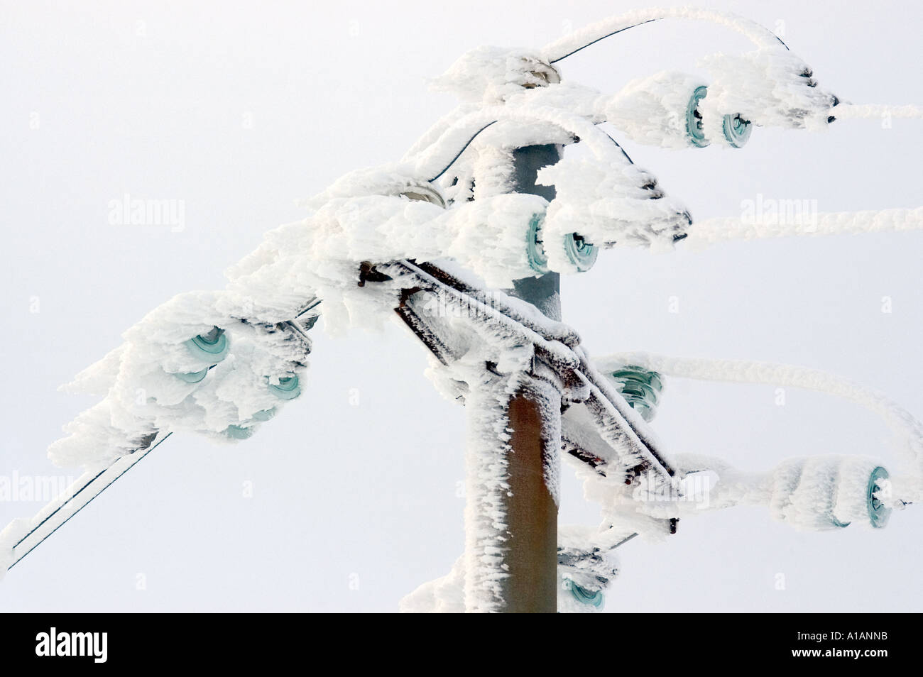 Electricity Pylons and wires covered with snow Stock Photo - Alamy