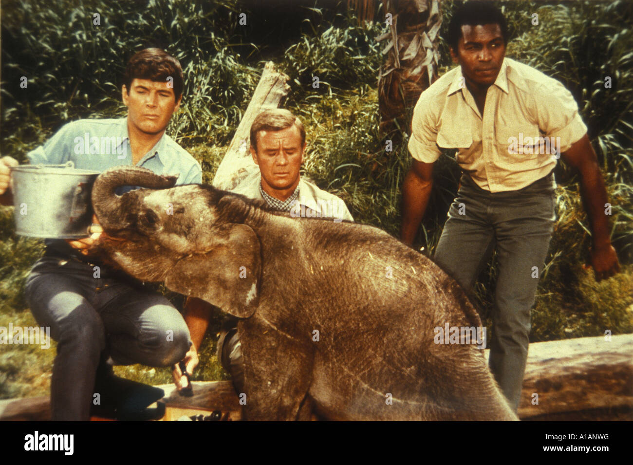 Daktari Year 1966 1969 Hari Rhodes Yale Sommers Stock Photo - Alamy